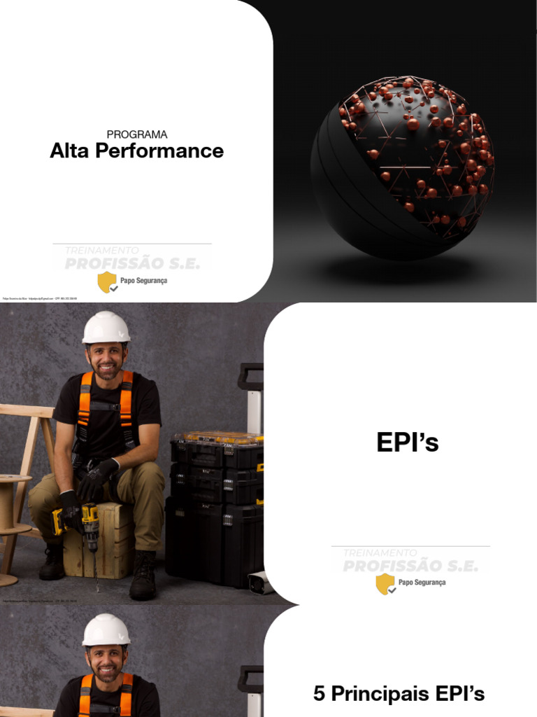 Programa de Alta Performance | PDF