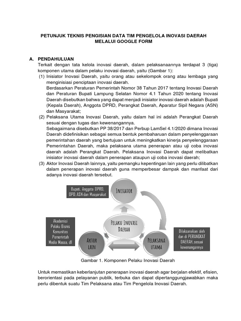 Panduan Pengisian Data Tim Inovasi Daerah | PDF