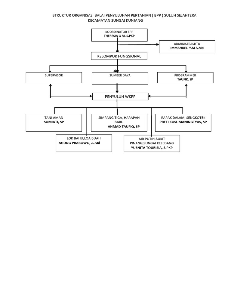 Struktur Organisasi BPP | PDF