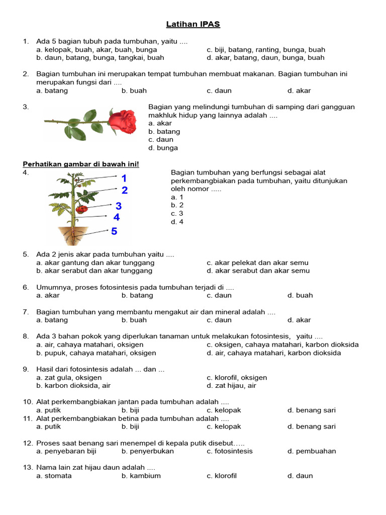 Latihan IPAS 2 | PDF