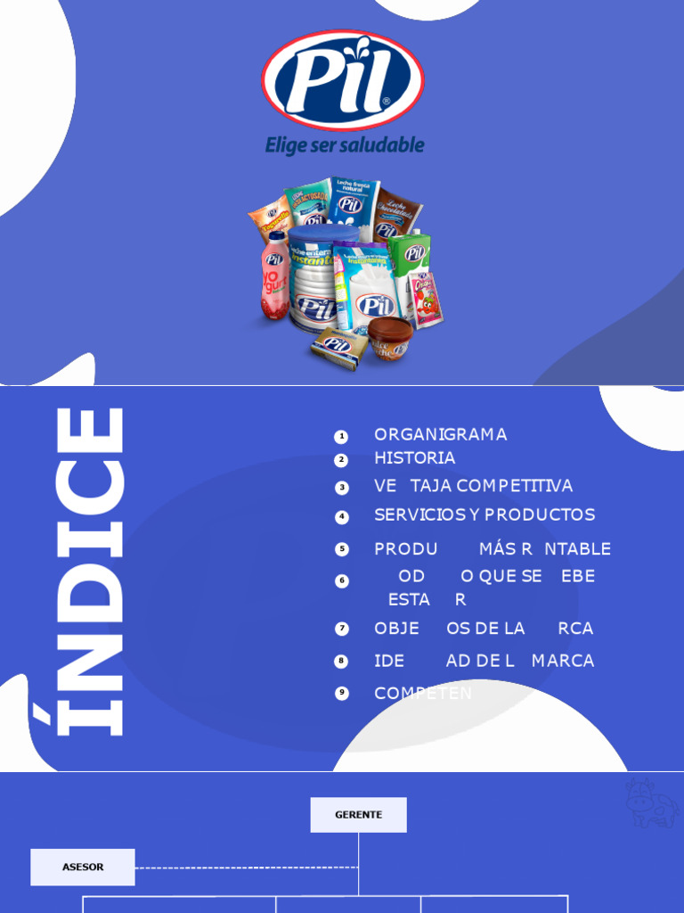 Briefing - Pil Andina | PDF | Productos lácteos | Postres