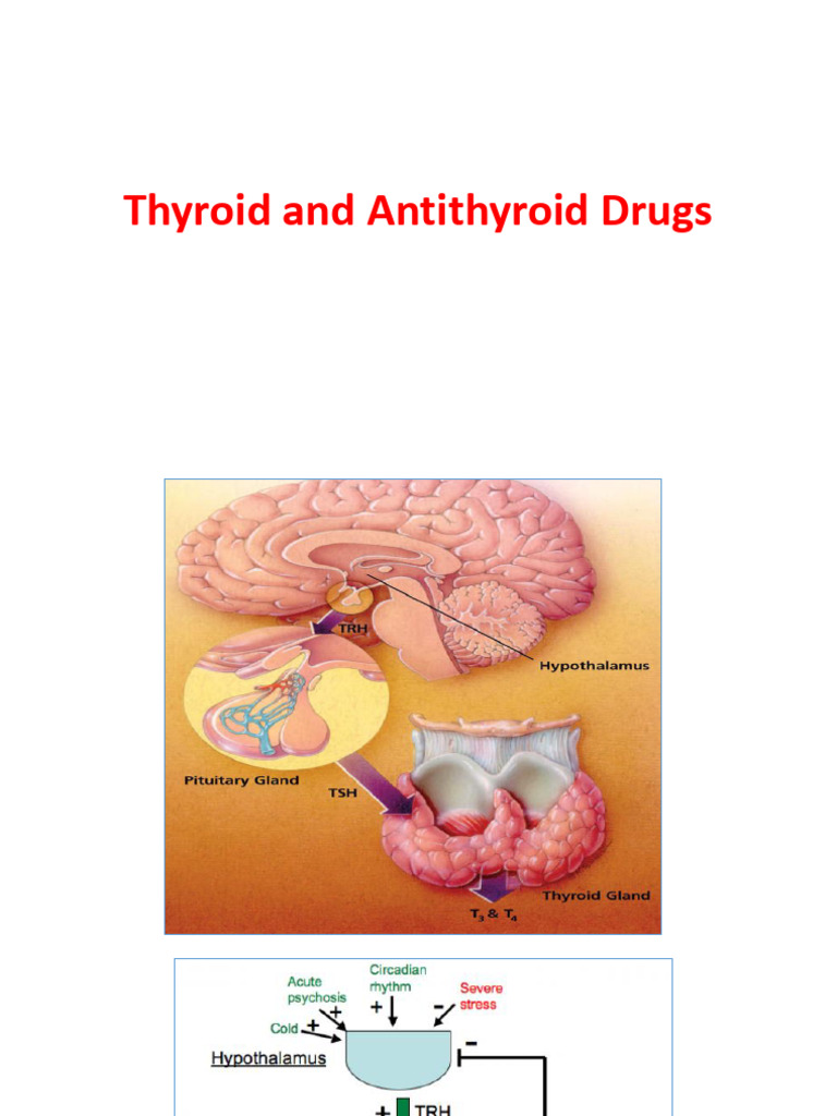 Thyroid and Antithyroid Drugs...haftom | PDF | Hyperthyroidism | Hypothyroidism