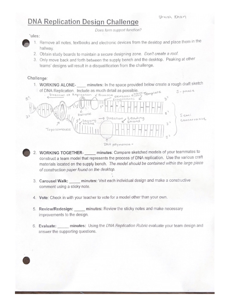 Dna Replication Design Challenge-1 | PDF