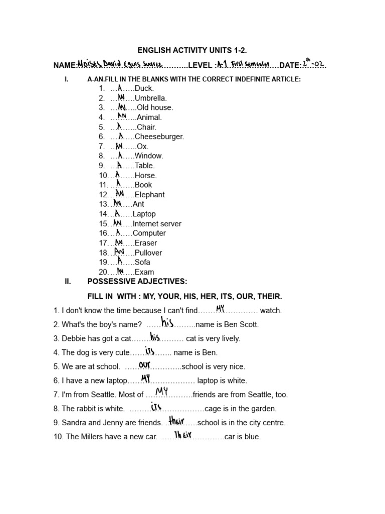 Possessive Activity | PDF | Morphology | Syntax