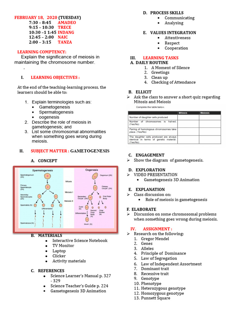 Meiosis and Gametogenesis Lesson Plan | PDF | Dominance (Genetics ...
