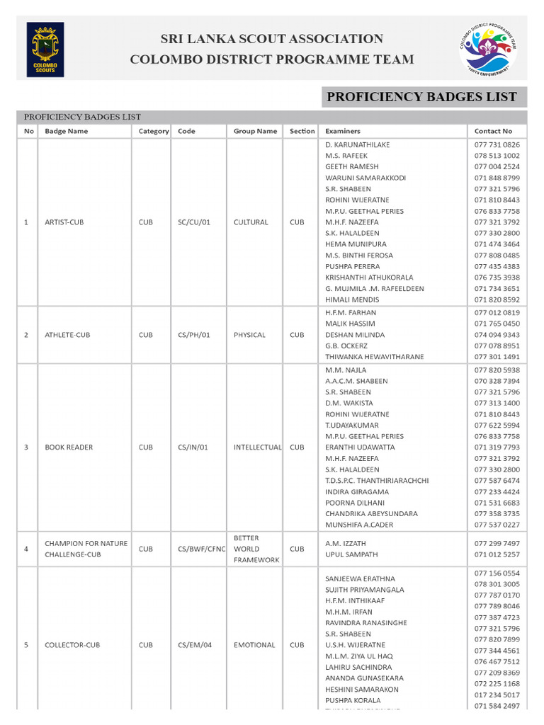 Proficiency Badges List | PDF