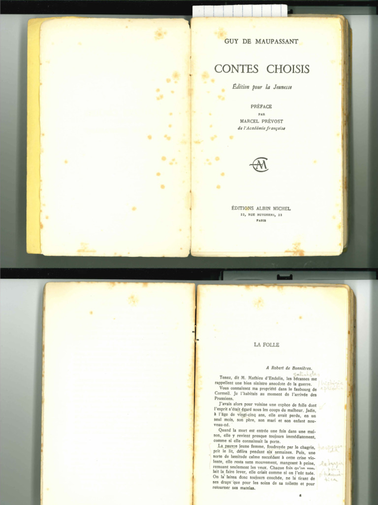 Contes Choisis - Guy de Maupassant | PDF
