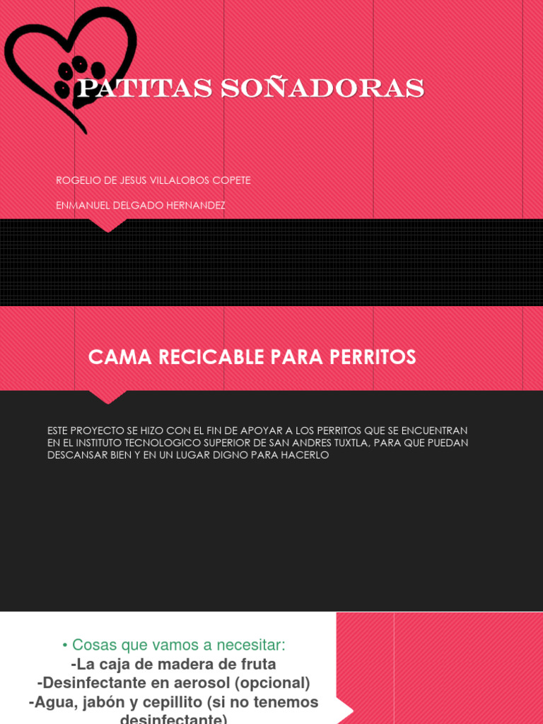 Proyecto MKT | PDF