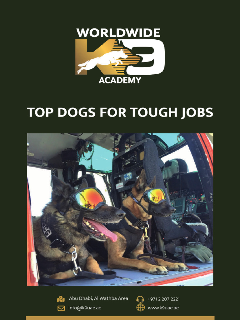 K9 Brochure Compressed | PDF | Police Dog | National Security