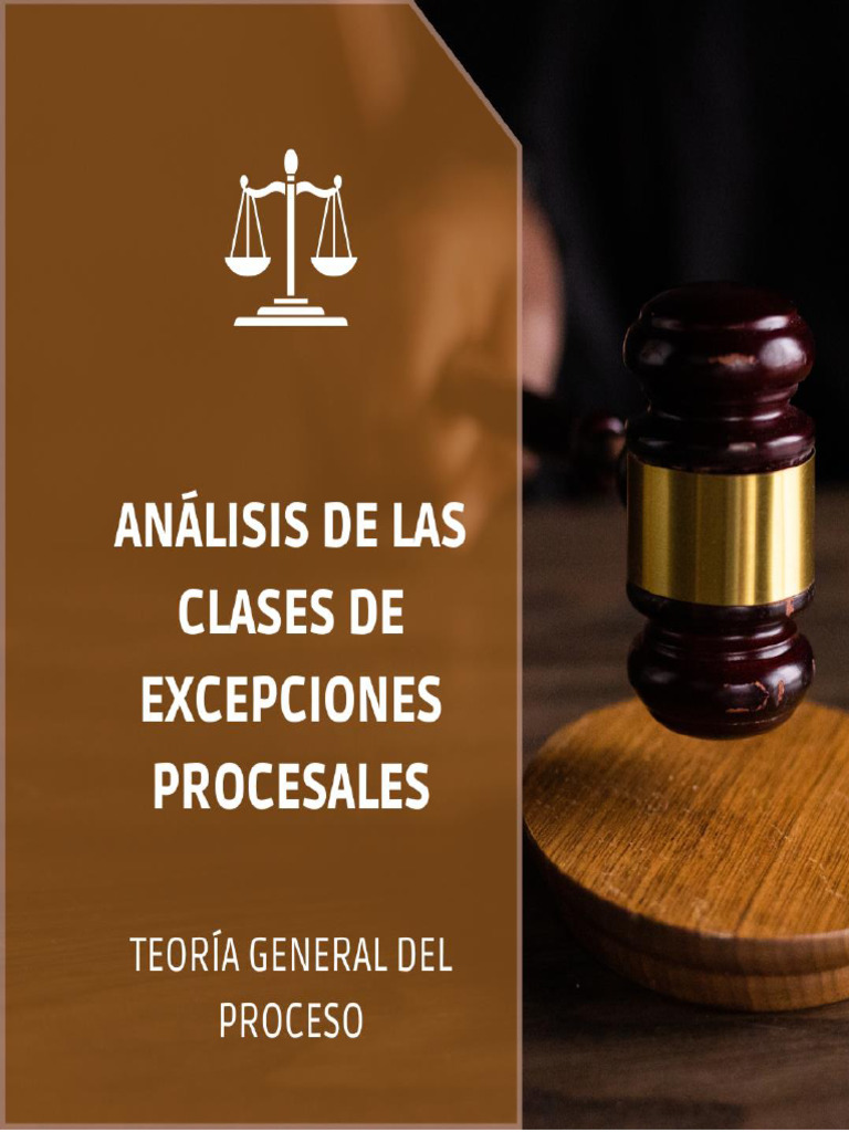 EXCEPCIONES PROCESALES | PDF | Ley procesal | Demanda judicial