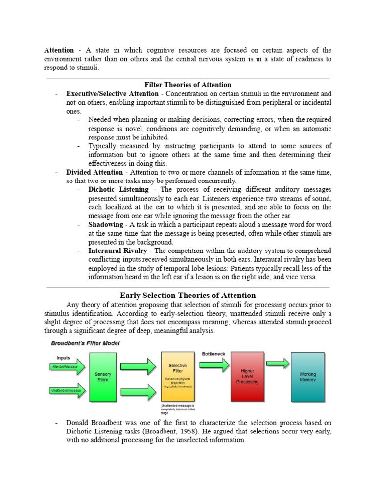 Attention And Memory Pdf Memory Retina