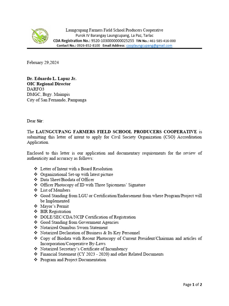 Cso Letter of Intent | PDF