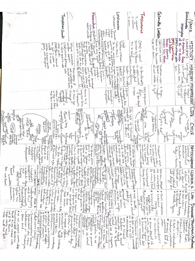 Parasitology Chart - Part 1 | PDF