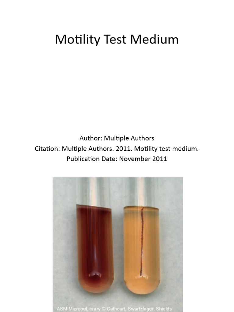 Motility Test Medium Pdf Bacteria Ammonium