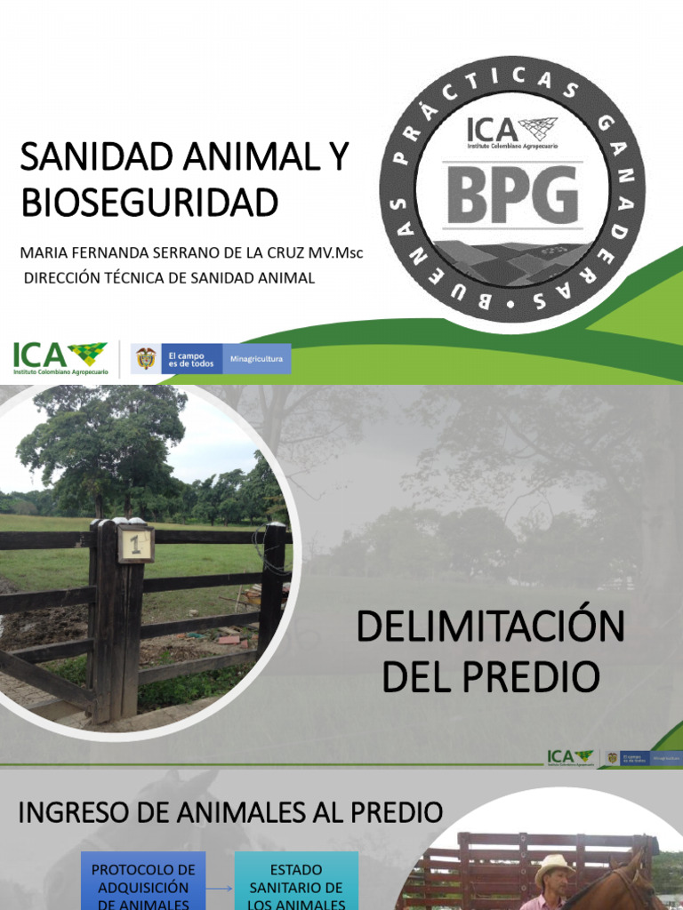 Sanidad Animal y Bioseguridad en Equidos BPG Plan Sanitario | PDF ...