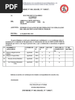 Modelo de Informe de Examen de Subsanacion | PDF