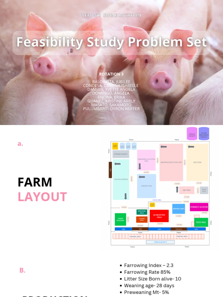 Swine Rotation | PDF | Pig | Domestication