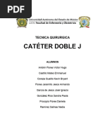 Procedimiento Colocacion y Retiro Cateter Doble J | PDF | Riñón ...