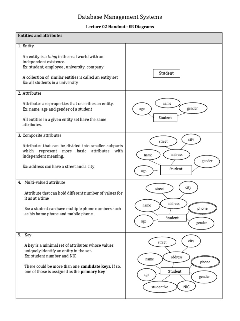 Understanding Database Entities and Relationships | PDF | Databases ...