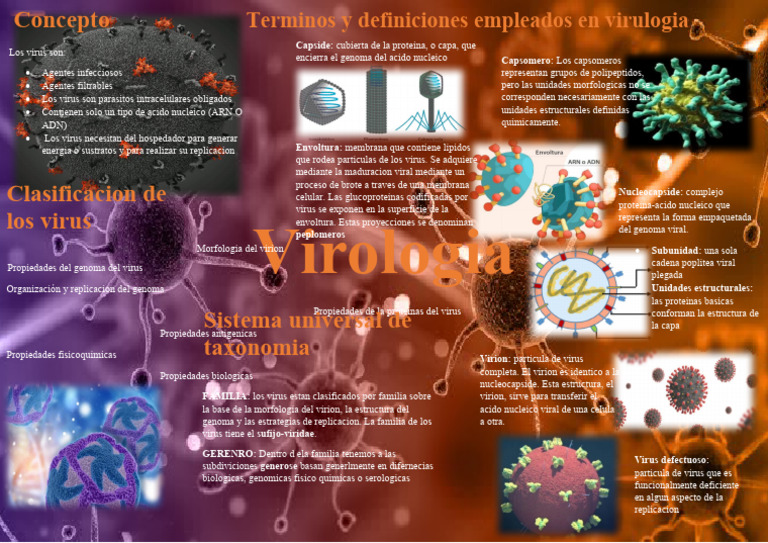 Infografia Virologia 1 | PDF | Virus | Ciencias de la Salud