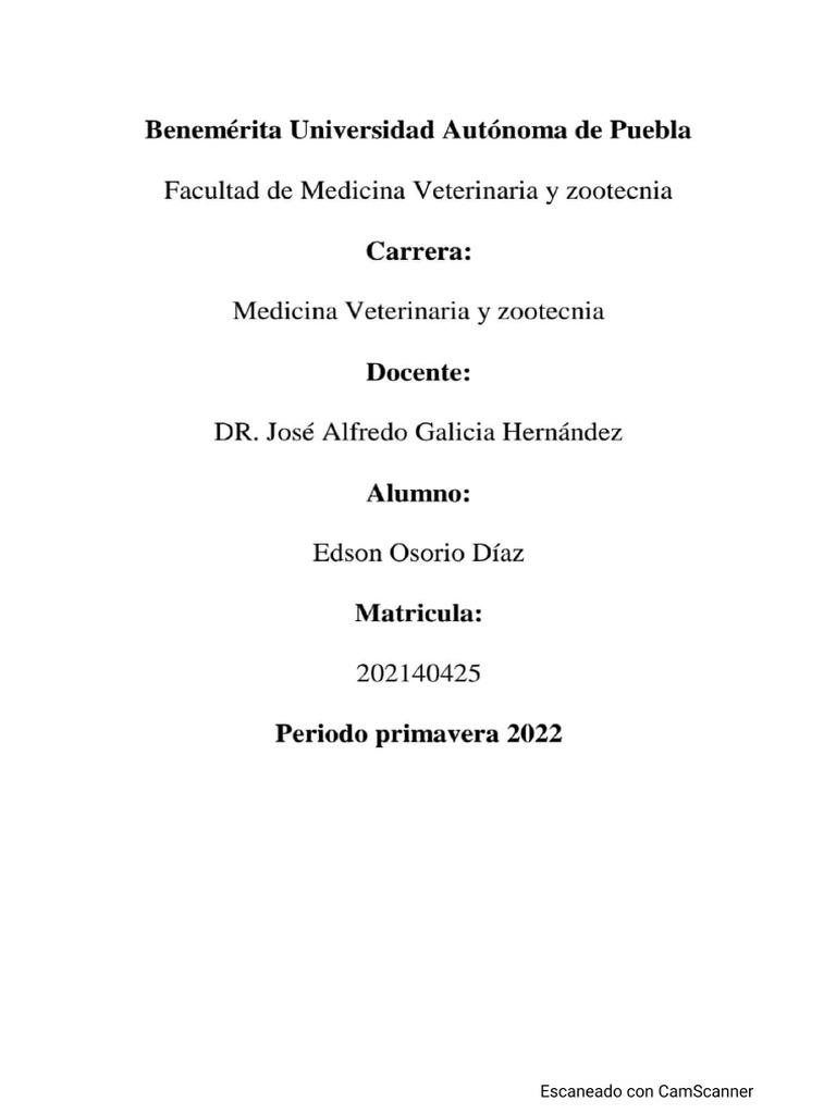 Workbook Unit 9 EOD | PDF