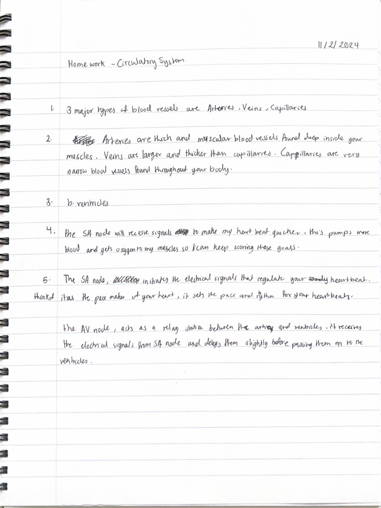 Circulatory System - Homework | PDF