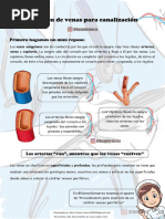 Metodo RaPeVA GAVeCeLT | PDF | Sistema cardiovascular | Sistema ...