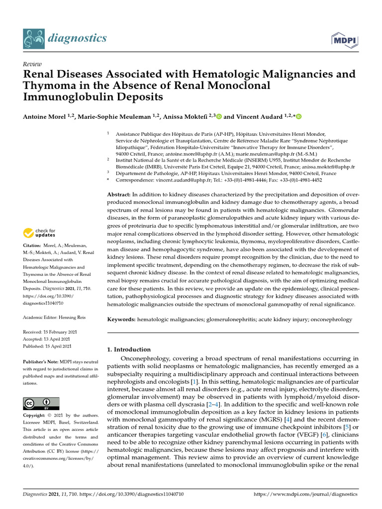 Renal Diseases Associated With Hematologic Malignancies.... | PDF | Lymphoma | Kidney Disease