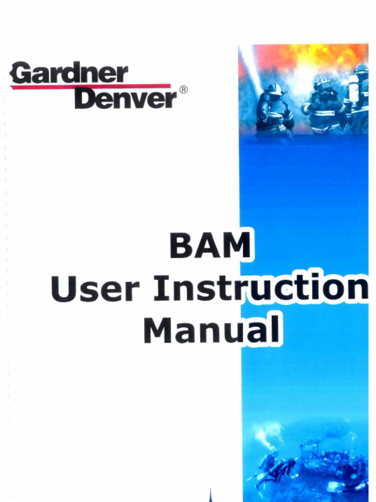 BAM Instruction Manual | PDF