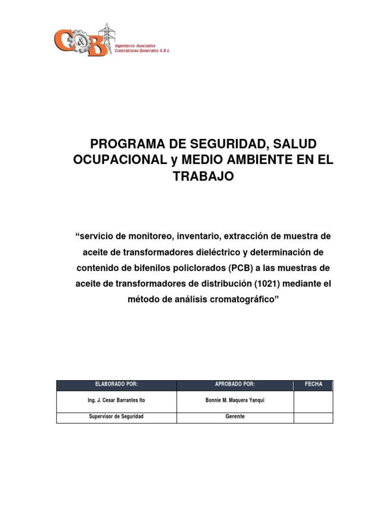 Informe de Seguridad | PDF | Riesgo