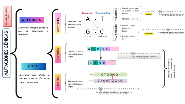 Mutaciones Genicas | PDF | Gene | Biología