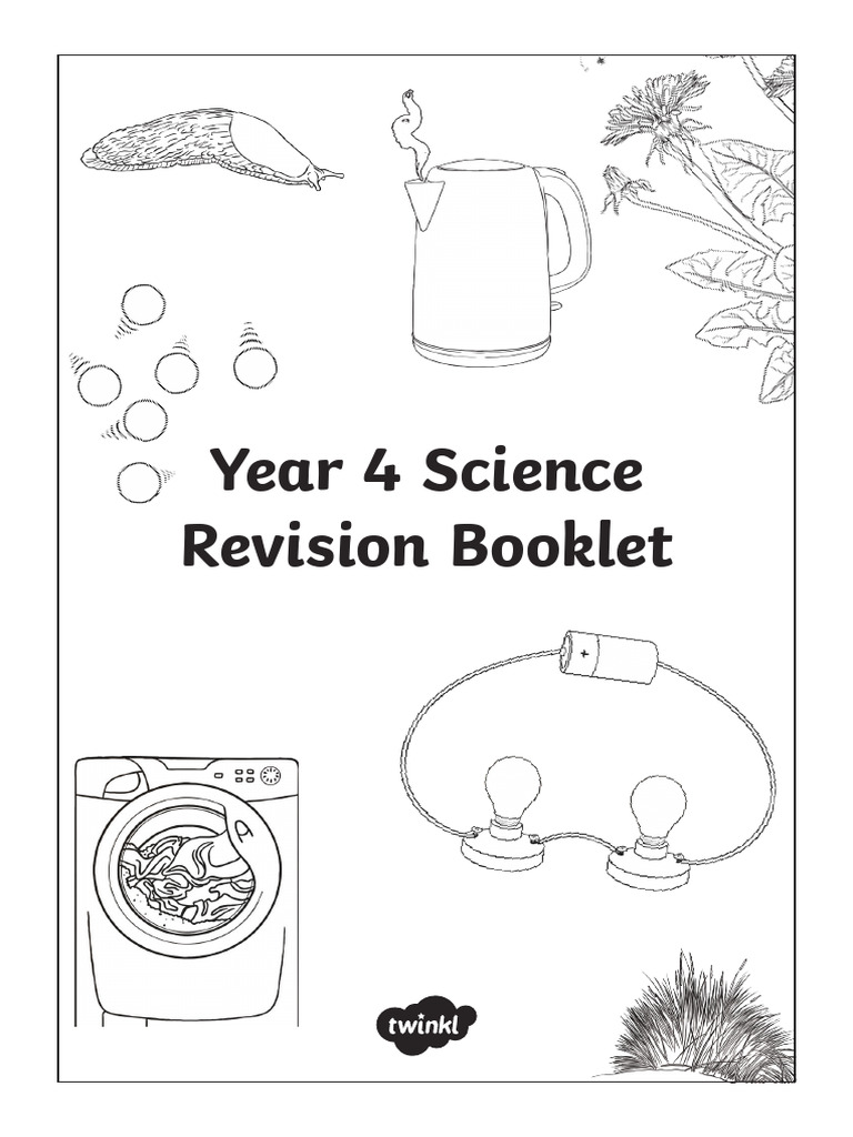 Year 4 Science Revision Booklet | PDF | Sound | Gases