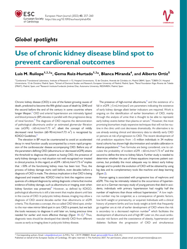 Use of Chronic Kidney Disease Blind Spot To Prevent Cardiorenal ...