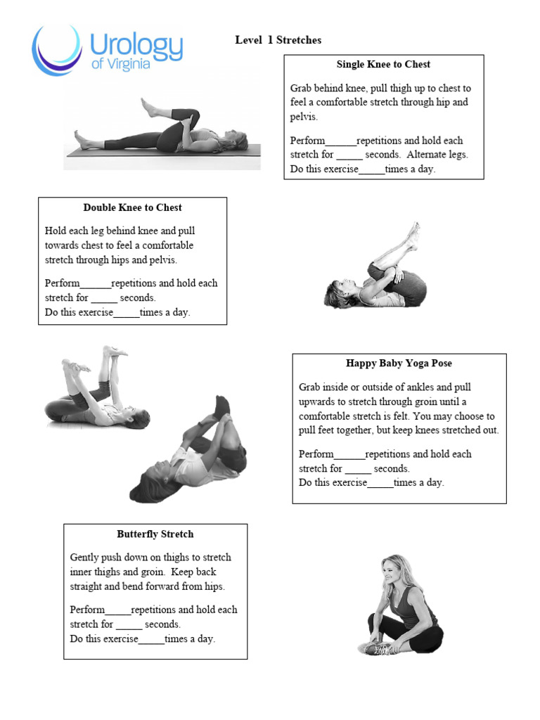Level 1 Stretches | PDF