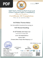 Safety Appreciation Certificates for HSE | PDF