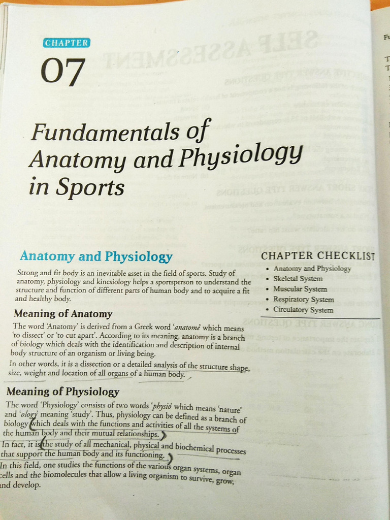 Class 11th Unit 7 Physical Education | PDF