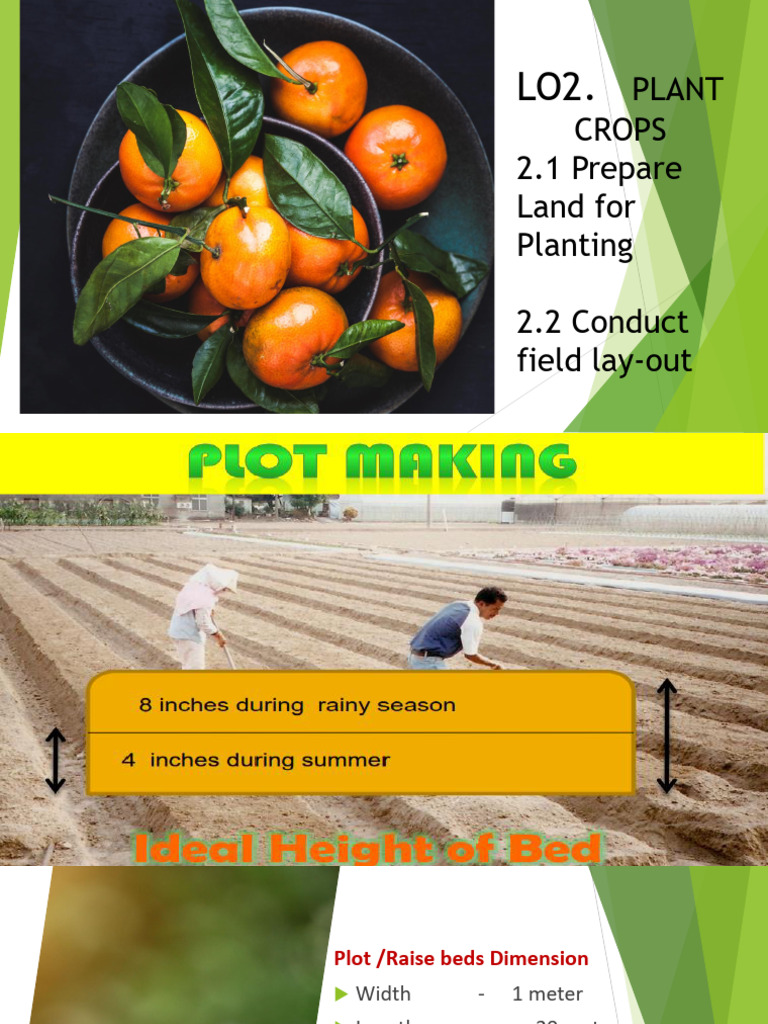 2.2 Conduct Field Lay Out | PDF | Crops | Agriculture