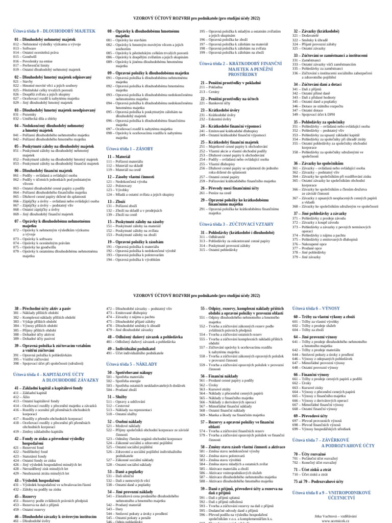 Vzorovy Uctovy Rozvrh Pro Podnikatele | PDF