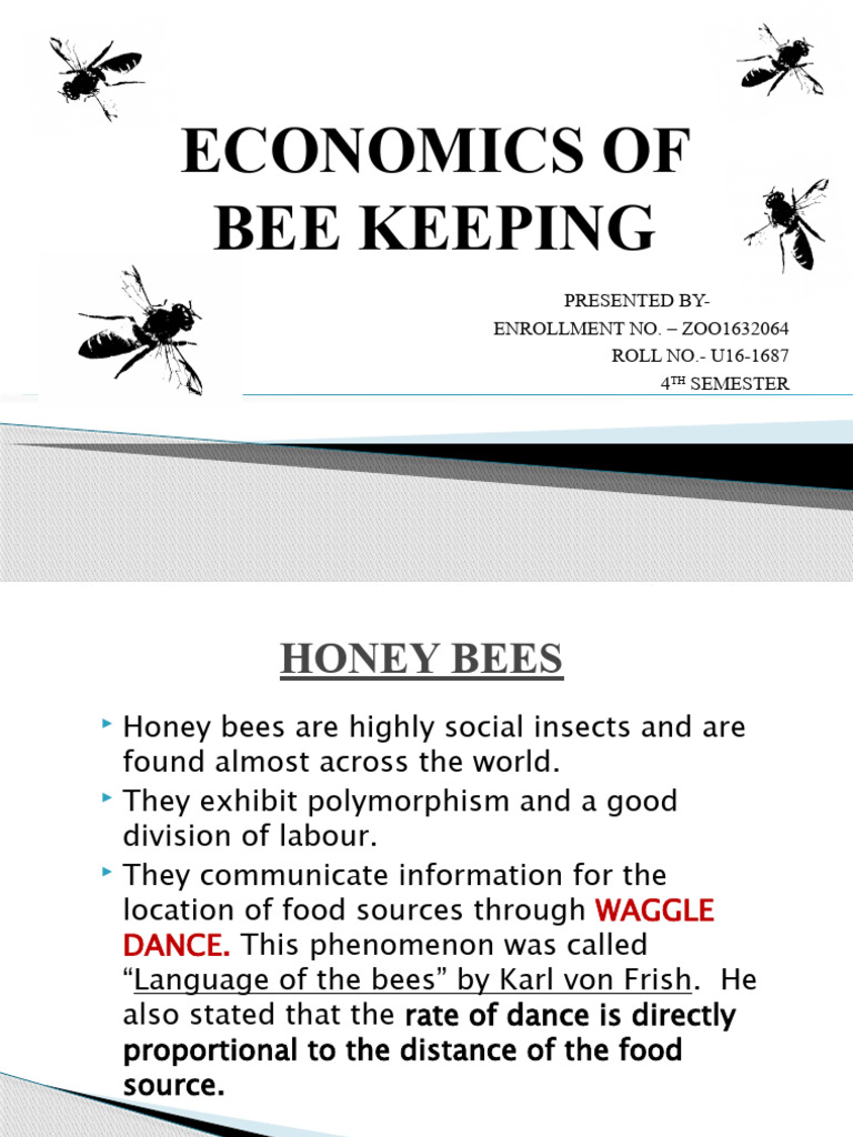 Economics of Bee Keeping | PDF | Honey Bee | Beehive