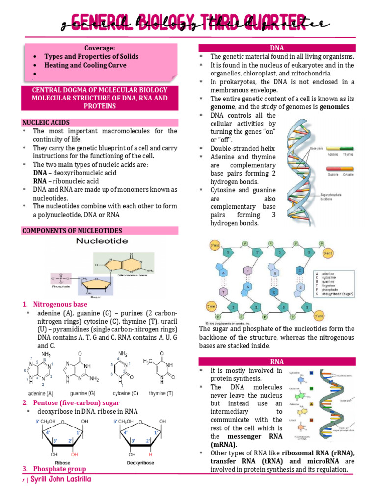 Gen Bio 3rd Quarter | PDF | Dna Replication | Dna