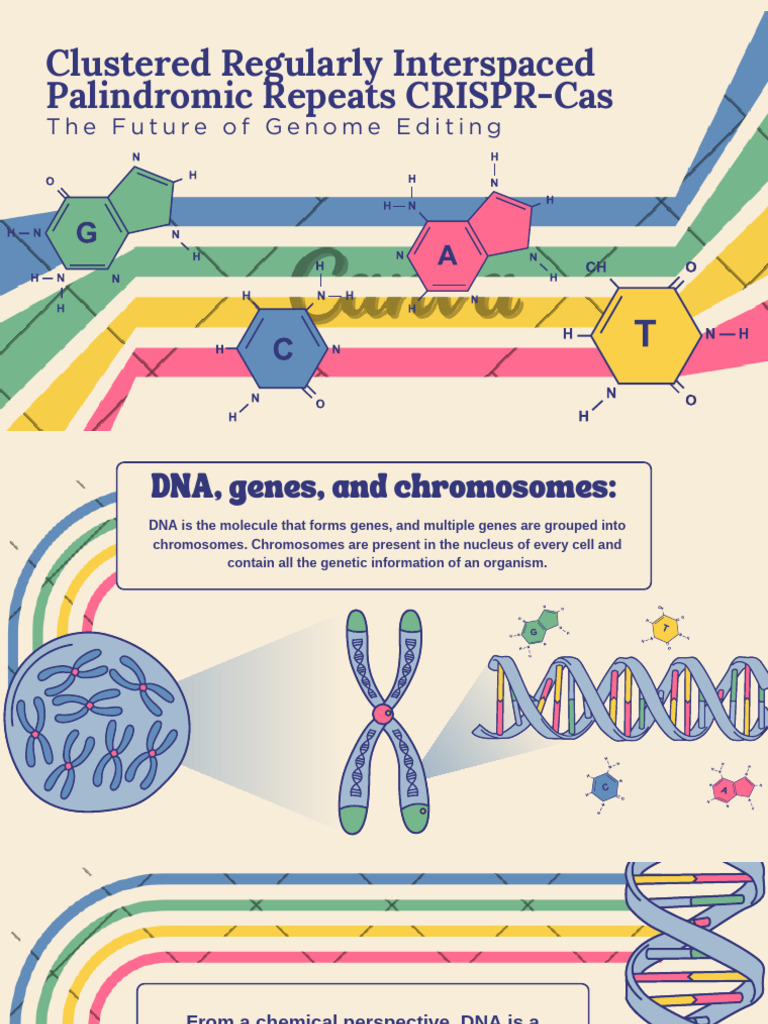 CRISPR-Cas Presentation | PDF | Dna | Genetics