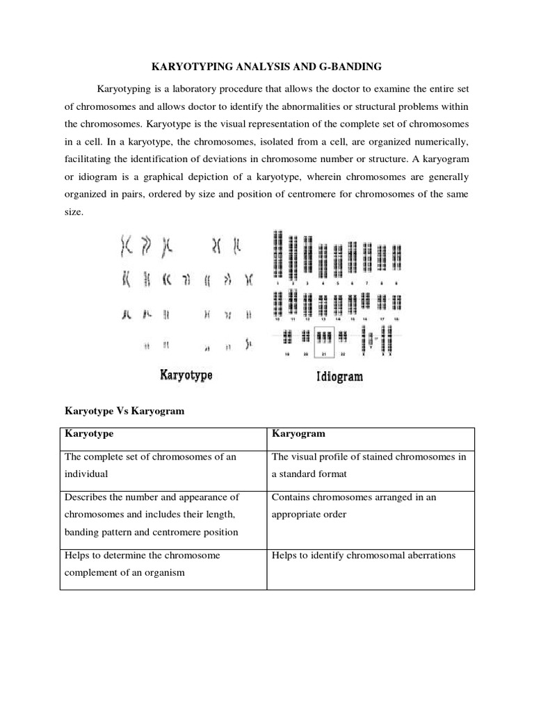 Karyotyping and G Banding | PDF | Karyotype | Chromosome