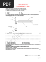 Calculating Magnification Worksheet | PDF