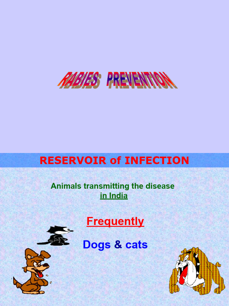 Rabies Prevention | PDF | Rabies | Clinical Medicine