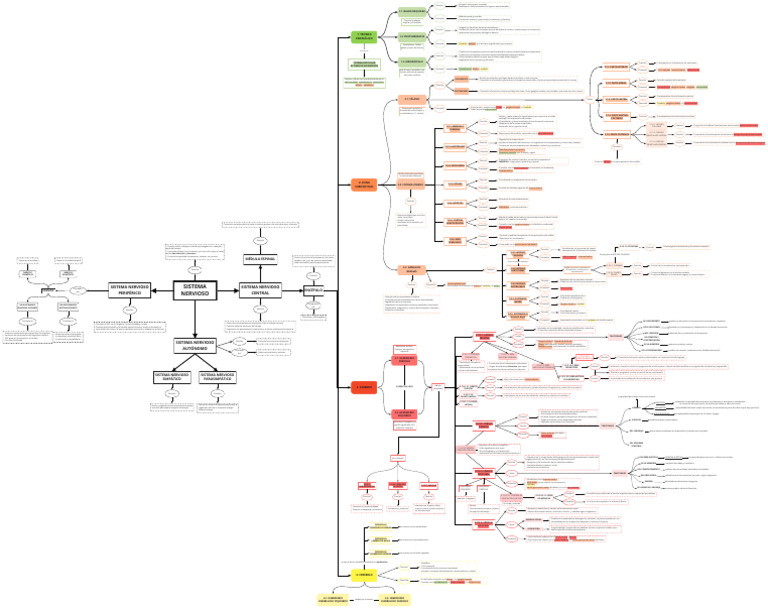 Mapa Conceptual Funciones Cerebrales Pdf Cerebro Cerebelo