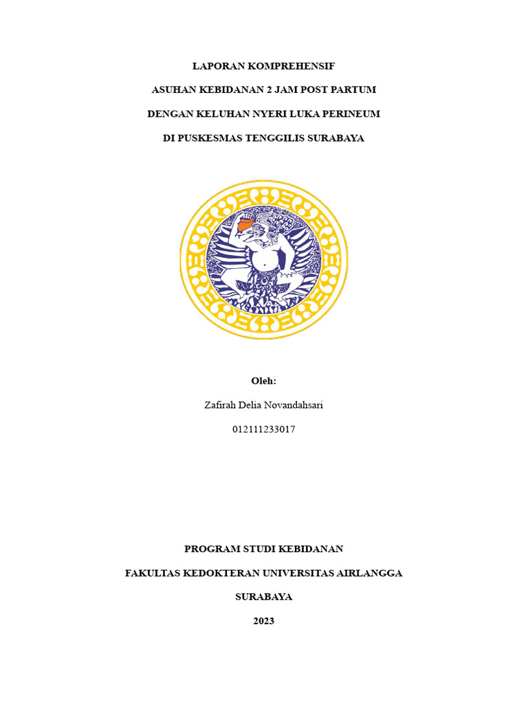 LAPORAN KOMPREHENSIF Asuhan Nifas | PDF | Pengembangan Diri | Kesehatan Holistik