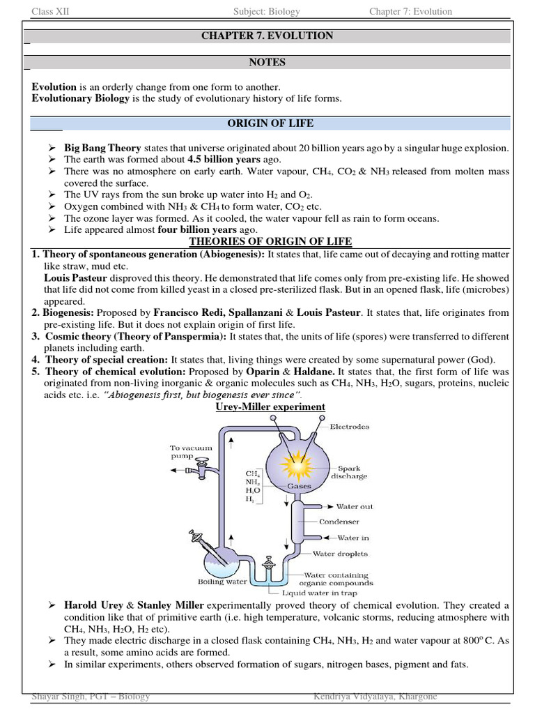Bio- Evolution | PDF | Homo | Natural Selection