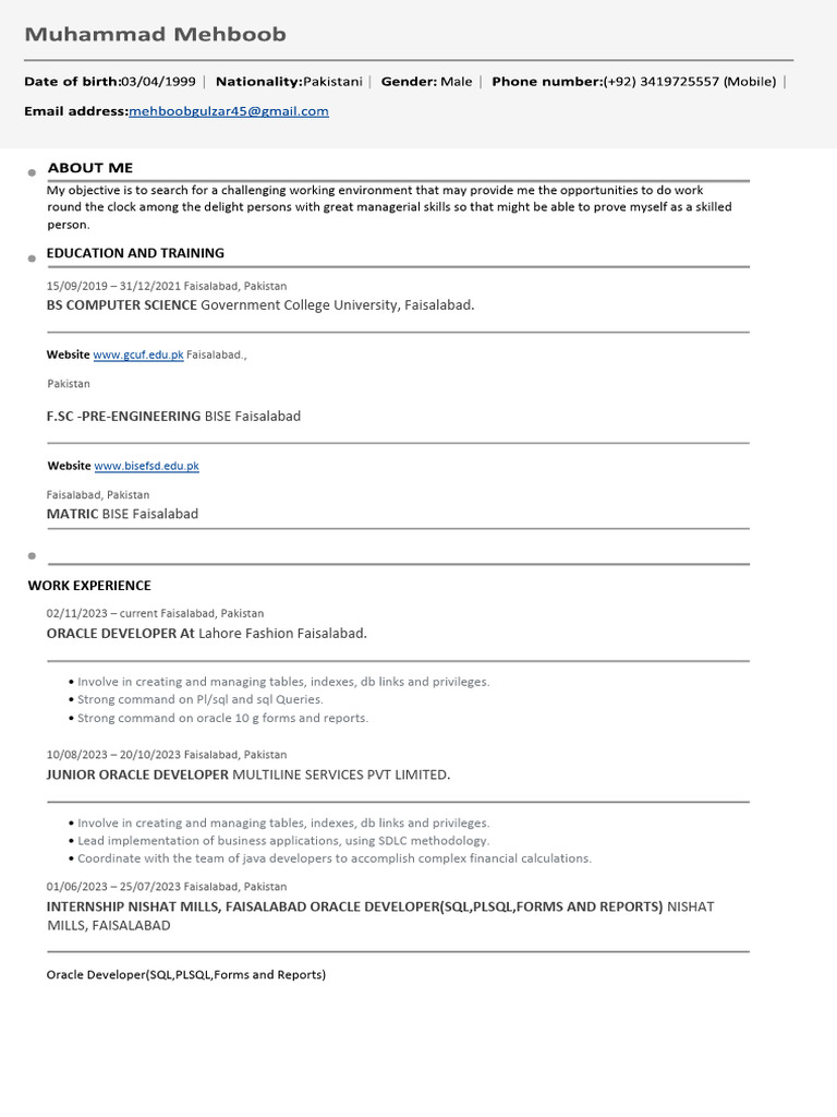 Mehboob CV 2 | PDF