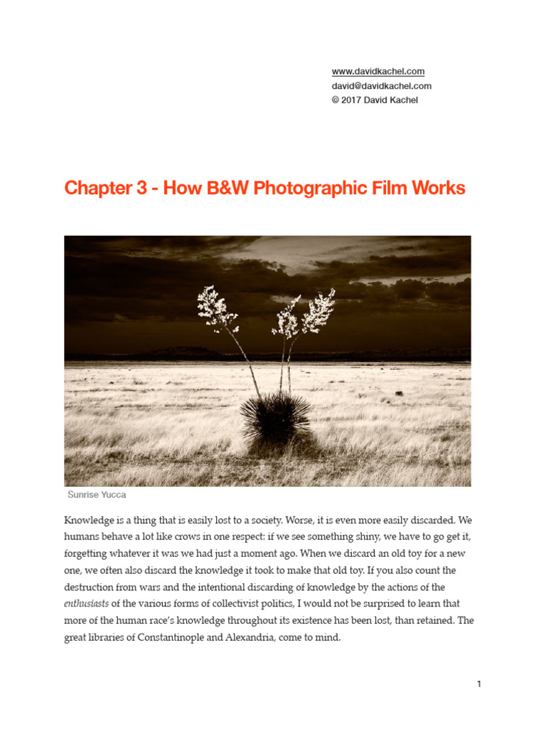Understanding B&W Film Photography | PDF | Chlorine | Silver