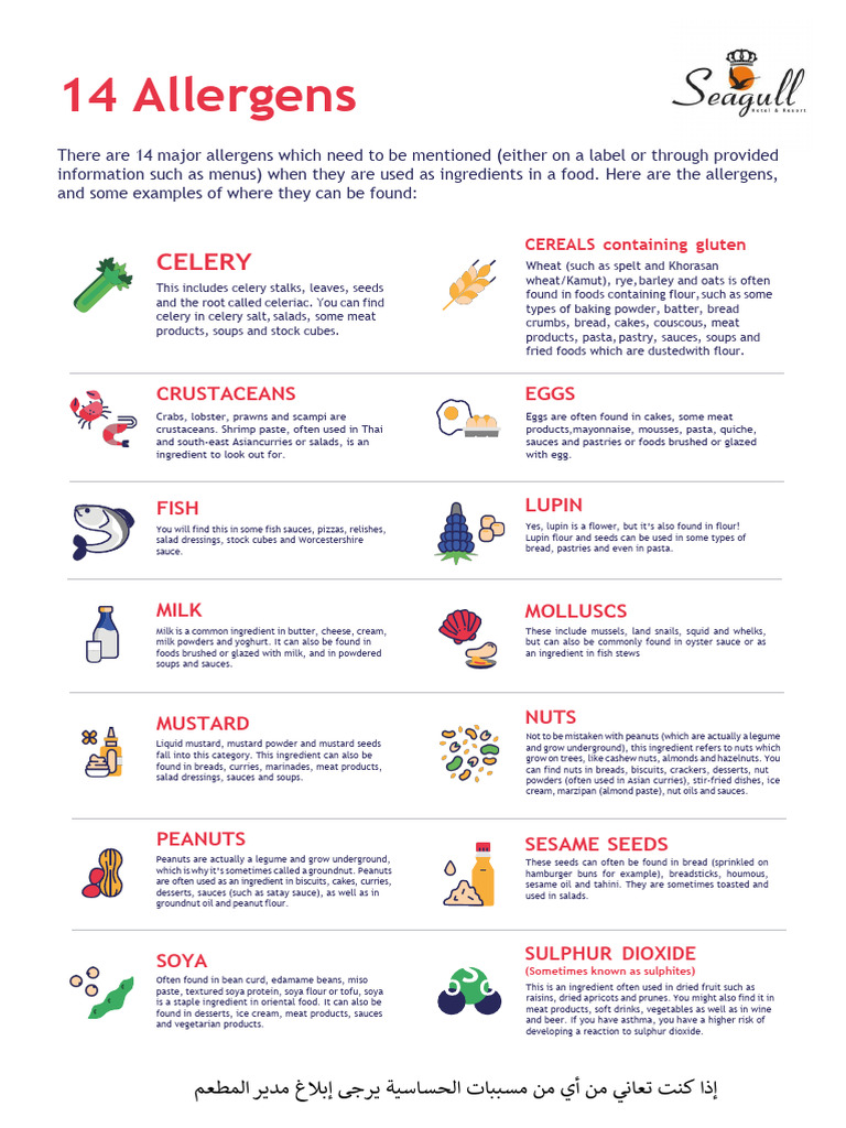 Allergen Poster Ar Resturant | PDF | Peanuts | Tofu